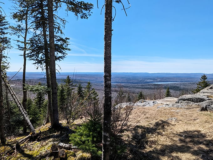 The reward at trail's end: a sun-drenched clearing offering panoramic views that make smartphone screens seem tragically inadequate.