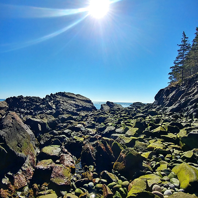 Rock-hopper's paradise: The sun illuminates this boulder field where each step requires the focus of a chess grandmaster planning their next move.