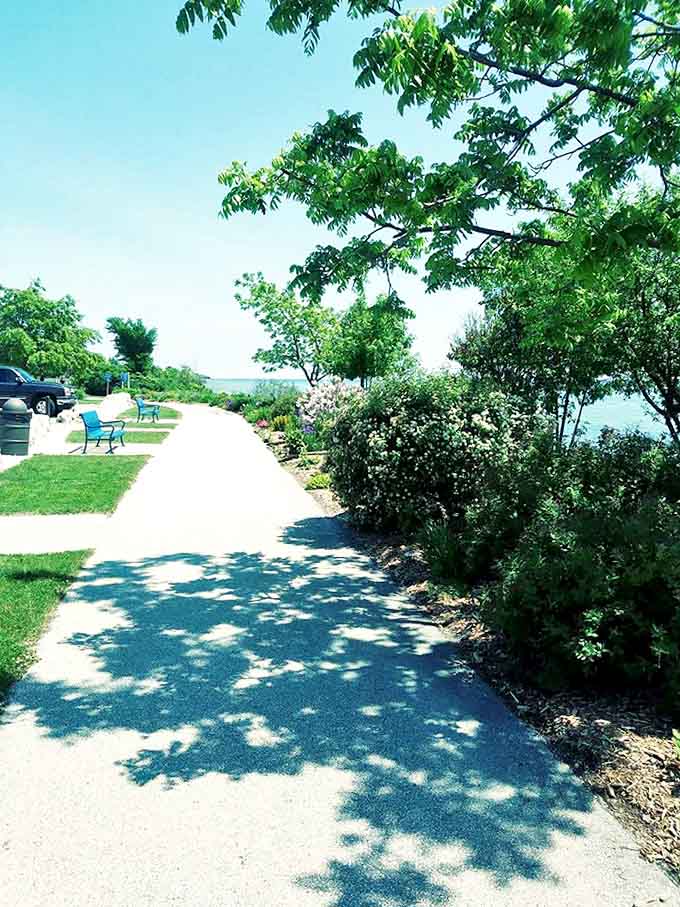 Dappled sunlight creates a natural spotlight on this shaded section, where trees and shrubs perform a silent ballet.
