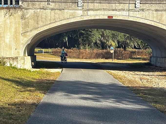 The land bridge itself spans I-75 below, creating a green highway for wildlife that's infinitely more scenic than the asphalt version.