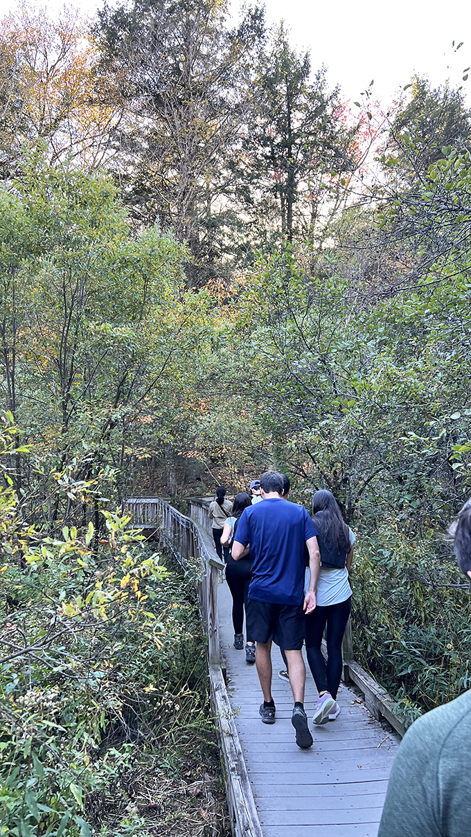 Fellow explorers share the path, proving that Vermont's natural wonders are best enjoyed as a community experience.