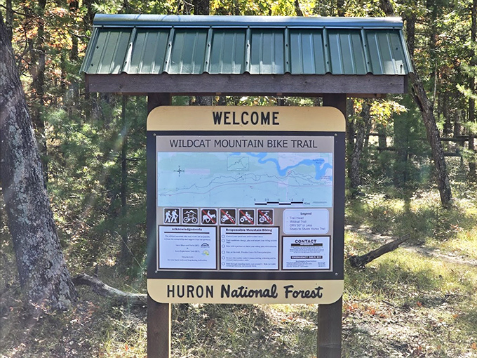The Wildcat Mountain Bike Trail welcomes adventurers to explore beyond the overlook, promising forest secrets for those willing to pedal.