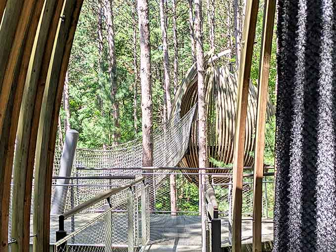 This intricate wooden structure houses a suspended walkway, resembling a massive nest built by some fantastical forest creature.