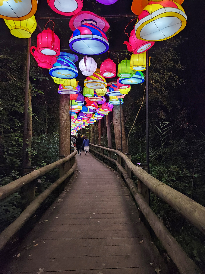 Magic comes alive after dark as colorful lanterns transform this woodland path into an enchanted corridor straight from a fairytale.