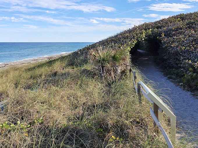 Even on cloudy days, the preserve maintains that moody coastal beauty that makes for dramatic photos and peaceful walks.