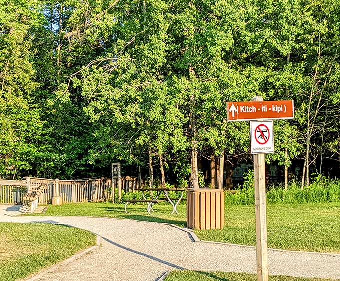 Follow the signs to "Kitch-iti-kipi" &ndash; your tongue might stumble over the pronunciation, but your eyes won't believe what awaits.