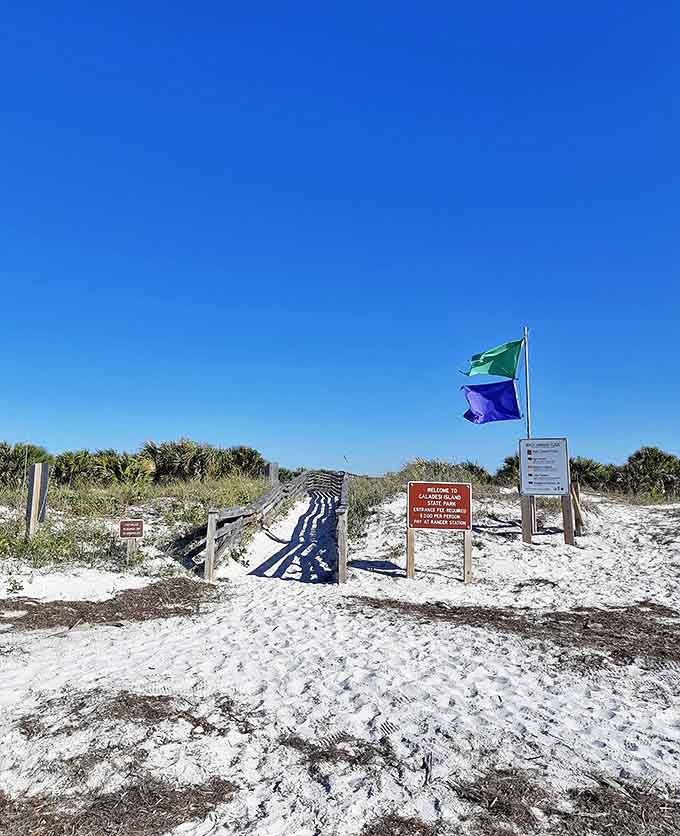 The entrance to enchantment: Beach flags flutter beside the pathway to Caladesi's shores, marking the boundary between ordinary life and island time.