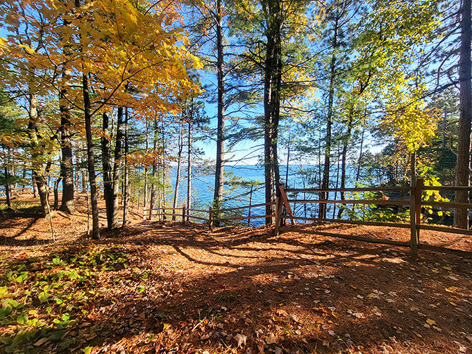 Fall's fiery display reaches peak perfection, when every glance upward reveals nature's most spectacular light show.