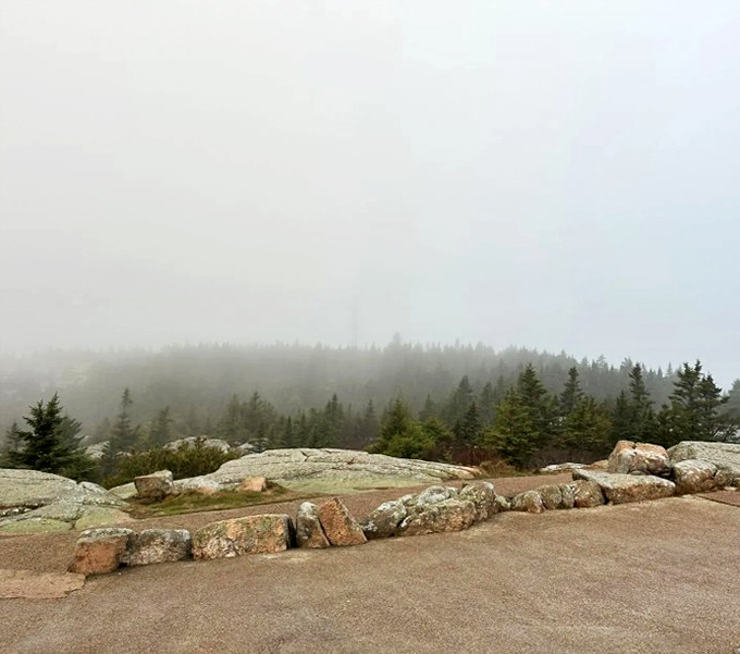 Mysterious fog embraces the mountain like nature's own special effect, transforming familiar landscapes into ethereal dreamscapes.