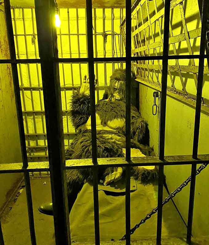 This captive cryptid lounges behind bars, seemingly unbothered by its confinement in the attraction's most mysterious exhibit.