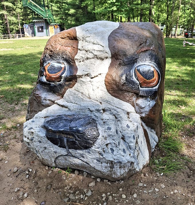 Hand-carved rock sculptures add unexpected whimsy throughout the property, like Easter eggs hidden by someone with artistic talent and a sense of humor.