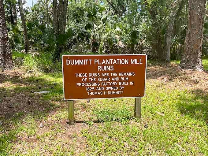 Educational displays bring the area's rich history to life, turning geological timelines into fascinating stories that captivate curious minds.