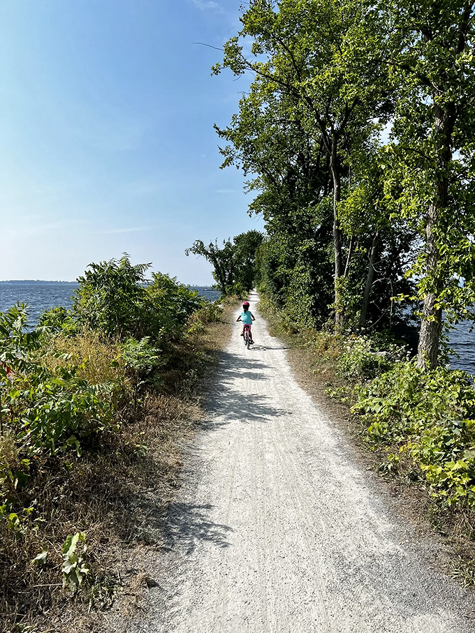 A young rider pedals confidently along the Colchester Causeway Trail, enjoying sunny skies, gentle breezes, and peaceful lake views today.