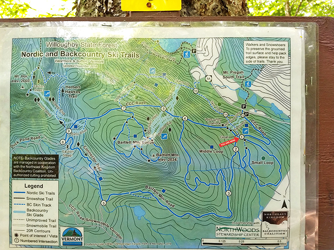 Trail map showing Nordic and backcountry ski options &ndash; winter's playground awaits for those brave enough to embrace Vermont's colder months.