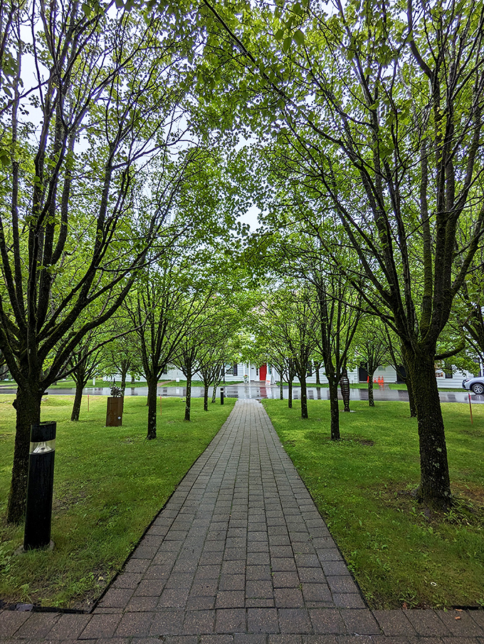 A tree-lined pathway invites visitors to stroll beneath a green canopy, the perfect prelude to artistic discoveries ahead.