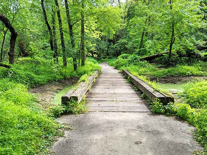 A wooden bridge invites visitors deeper into the verdant heart of Crosby Farm, where hidden wonders await the curious.
