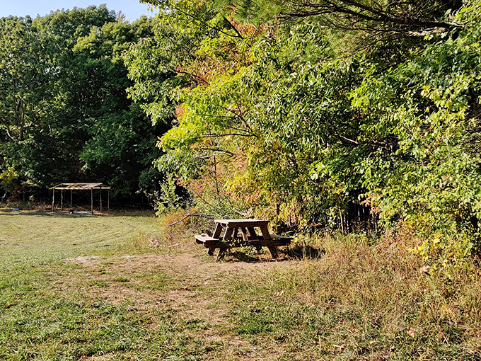 Picnic perfection awaits in this sunlit clearing, where a weathered table invites trail-weary adventurers to rest and refuel.