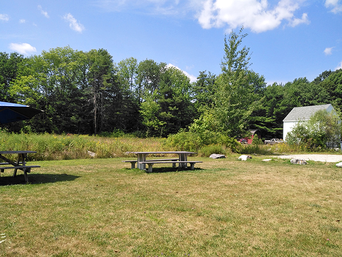 Outdoor picnic tables invite you to enjoy your meal in the fresh Maine air, making every burger feel like part of a perfect summer day.