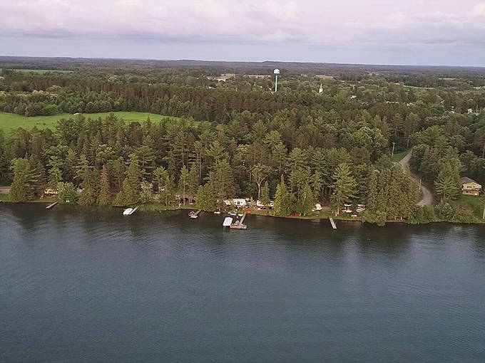 These pines have witnessed generations of Minnesotans passing through, standing tall through harsh winters that would send lesser trees packing south.