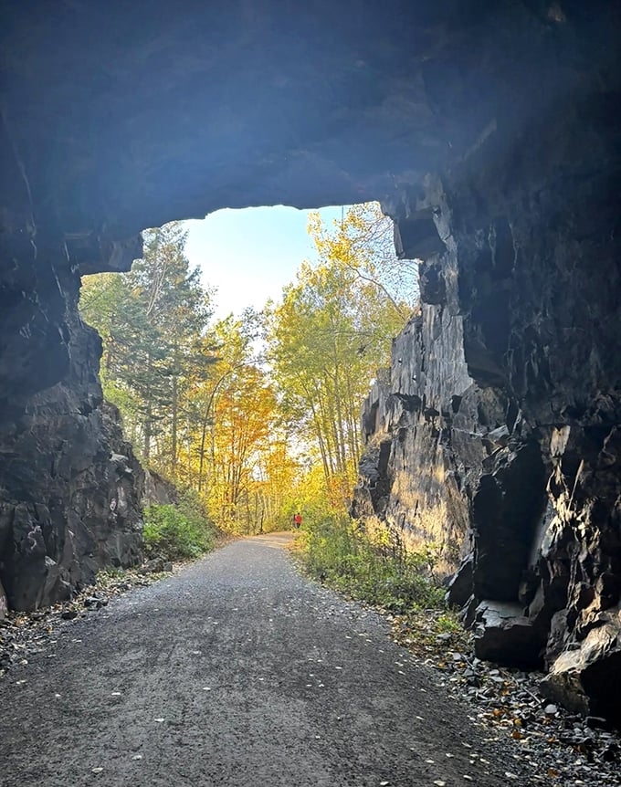 Light at tunnel's end: Looking outward from the darkness reveals a perfect frame of daylight, nature's own masterpiece waiting beyond. 