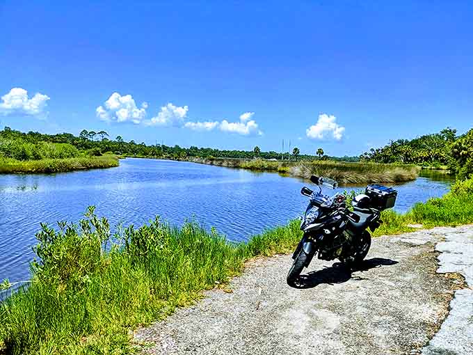 Water reflects the perfect Florida sky along the Loop, creating a double dose of beauty that makes you question which view is the real one.