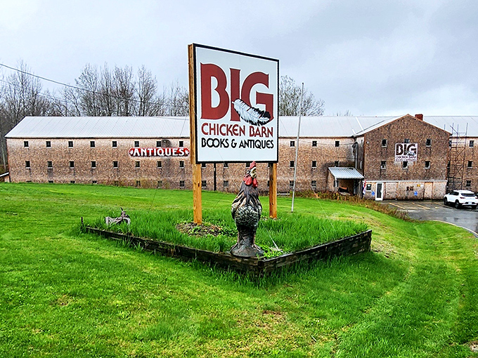This roadside beacon draws bibliophiles and antique lovers from miles around, the bold red lettering promising adventures in vintage shopping.