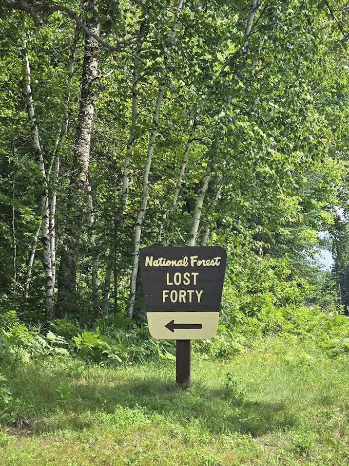 The sign points the way, though ironically, getting "Lost" in these forty acres might be the best direction anyone could take.