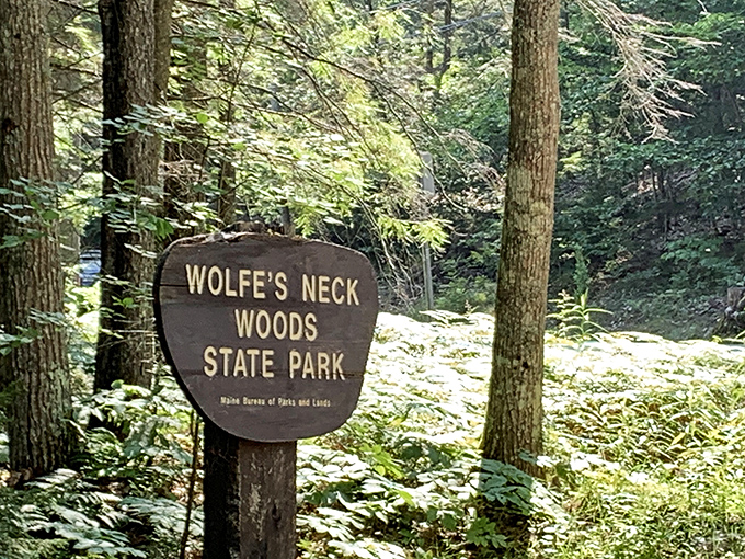 The park's wooden sign welcomes adventurers to a world where cell service fades but life's signal strengthens.