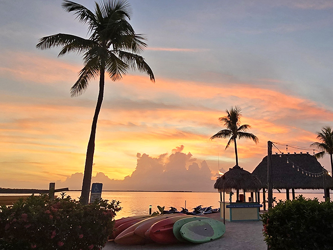 Key Largo sunsets paint the sky in impossible colors, nature's nightly masterpiece that never needs a filter.
