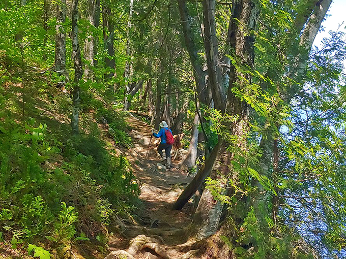 The trail that makes you work for those incredible views, proving that the best things in life require a little uphill effort and sturdy shoes.
