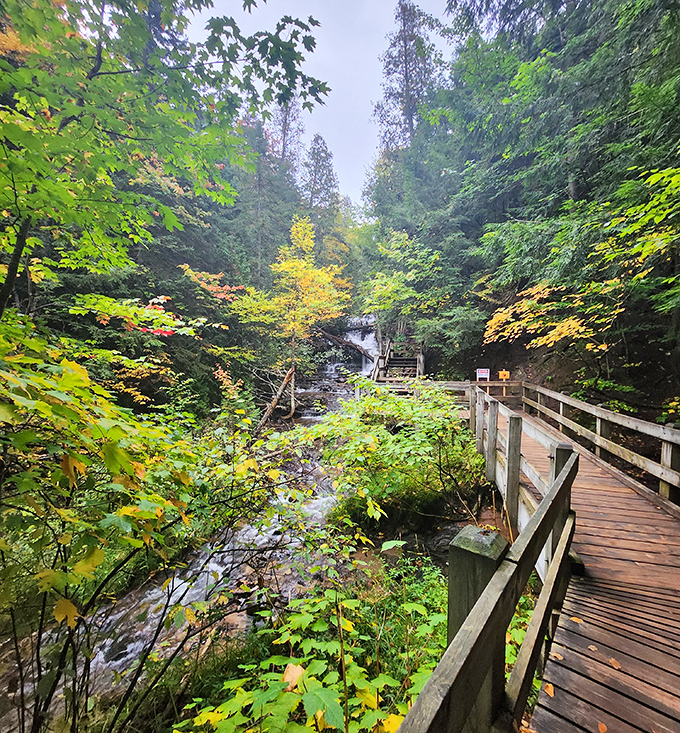 Fall's golden touch transforms the pathway into a scene from a storybook, where every step reveals new seasonal wonders.