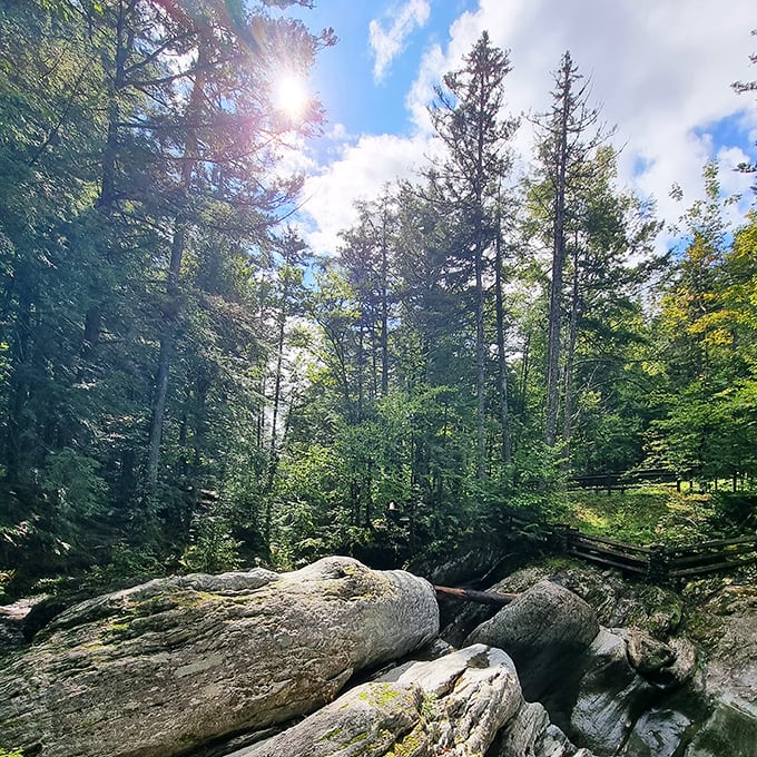 Sunbeams filter through tall pines, illuminating massive boulders shaped by time and mountain waters.