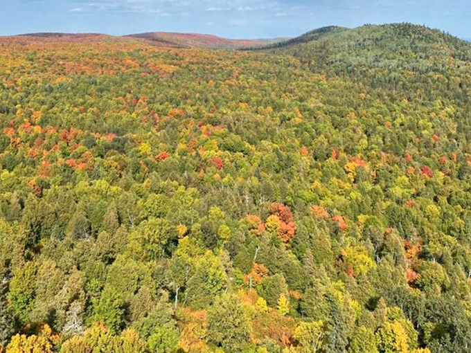Fall's golden touch transforms the mountainside into a tapestry of warm hues that would make any leaf-peeper swoon.