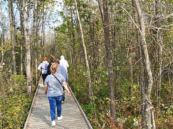 Fellow adventurers follow the boardwalk deep into the bog, their silhouettes dwarfed by the vast peatland stretching before them.