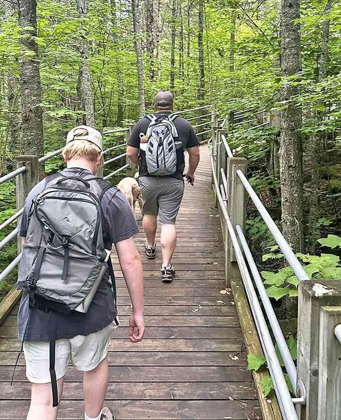 Fellow adventurers take in the magnificent view, proving that some experiences are best when shared with good company.