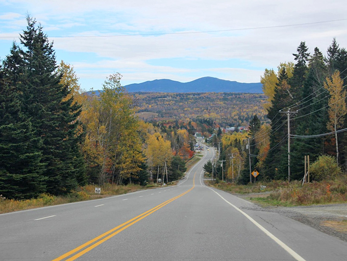 The road stretches toward distant mountains, promising adventures that feel both wild and wonderfully accessible.