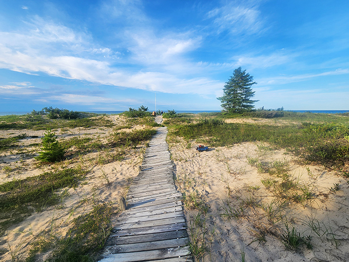 This wooden boardwalk invites exploration without the sand-in-shoes tax that beaches usually charge.