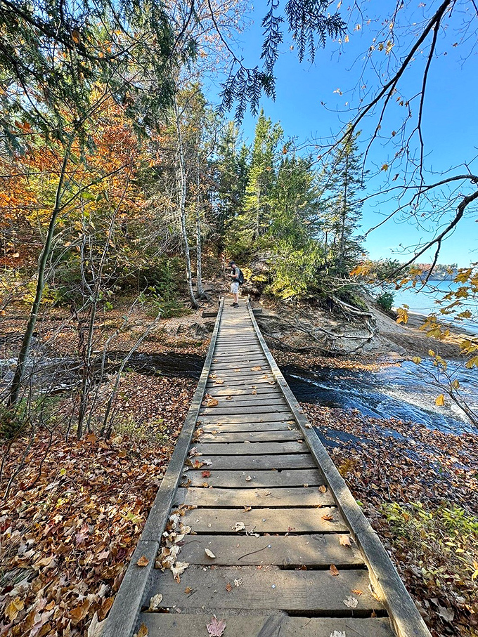 This rustic wooden pathway leads through autumn's golden gallery, where every step brings new masterpieces of fall foliage framed against Superior's blue canvas.