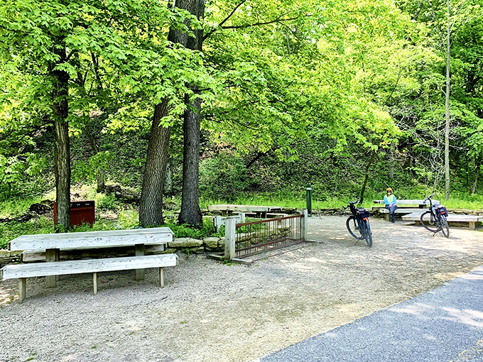 Shaded picnic tables nestled among towering trees create the perfect spot for a mid-adventure lunch break.