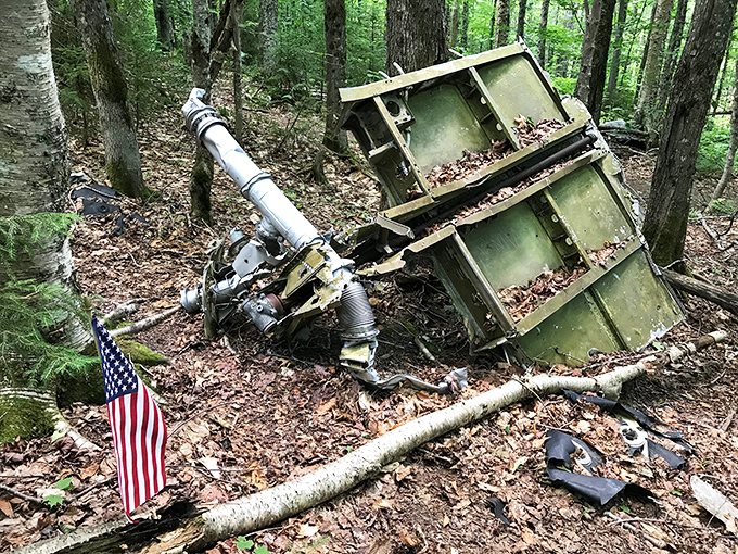 An engine component rests against a tree, small American flags marking its significance in this outdoor museum.