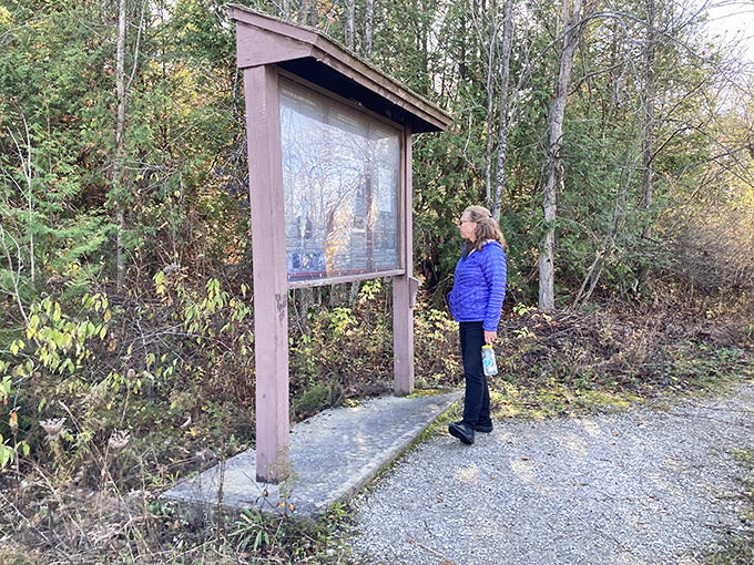 A visitor studies the informational display, connecting present-day knowledge with Earth's ancient marine history.