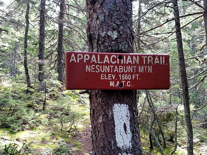 Trail marker to adventure: The Appalachian Trail crosses near Nahmakanta, offering hikers a wilderness two-for-one special.