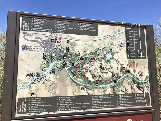 A detailed trail map reveals the arboretum's impressive scope – a 392-acre wonderland waiting to be explored one path at a time.