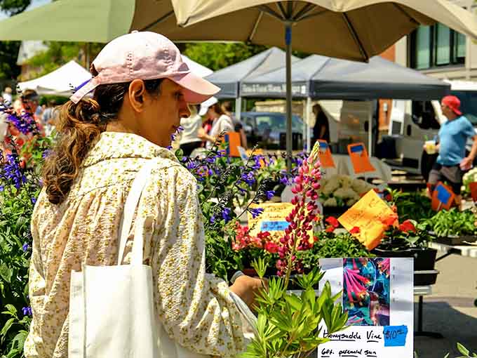 An aerial view reveals Birmingham's perfect balance of urban development and green space, a masterclass in thoughtful community planning.