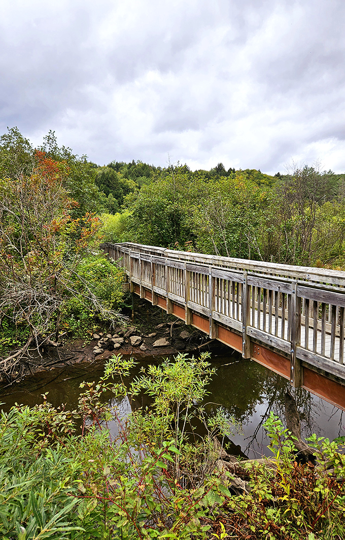This bridge doesn't just span water &ndash; it connects visitors to Vermont's wild heart, no wilderness survival skills necessary.
