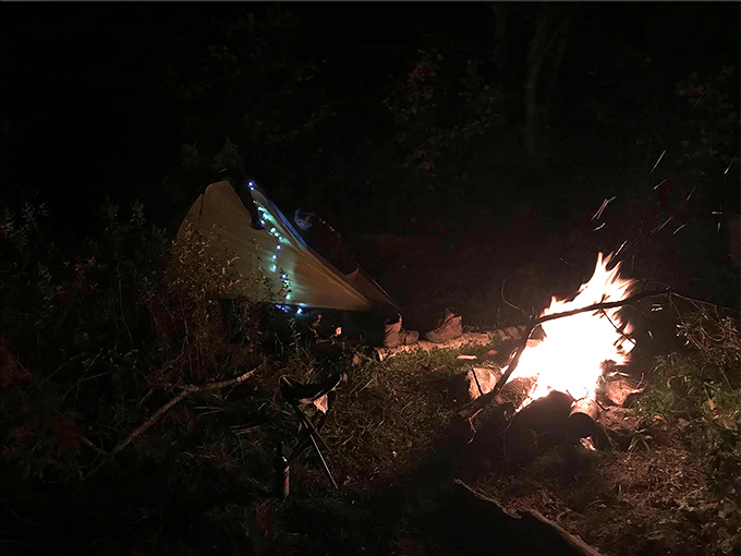 As darkness falls, campfire flames dance against the night, completing the enchanted forest experience with primal comfort and warmth.