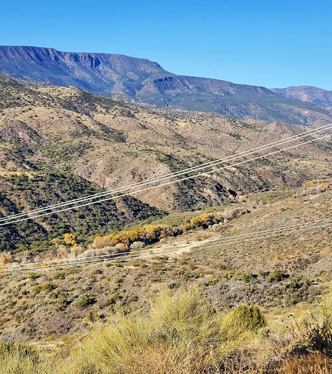 Colorful artwork adorns every surface of the springs, turning this natural wonder into a collaborative desert masterpiece.