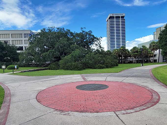 The Treaty Oak holds court in downtown Jacksonville, proving that sometimes the most impressive skyline features aren't man-made.