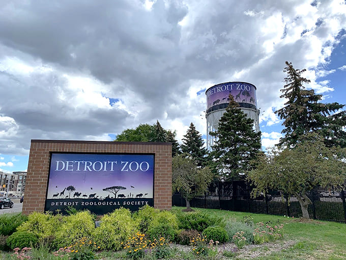 The Detroit Zoo signage marks the entrance to a world-class facility that's been connecting Michigan families with wildlife for generations of unforgettable visits.