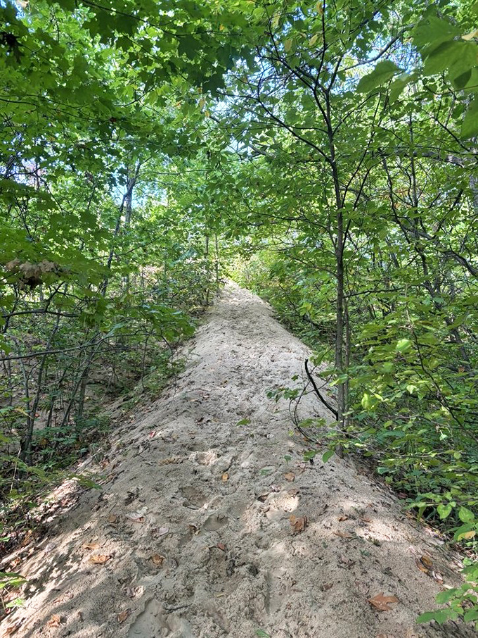 Sandy challenge accepted: the dune trail rises like nature's stairmaster, promising spectacular views for those willing to make the climb.